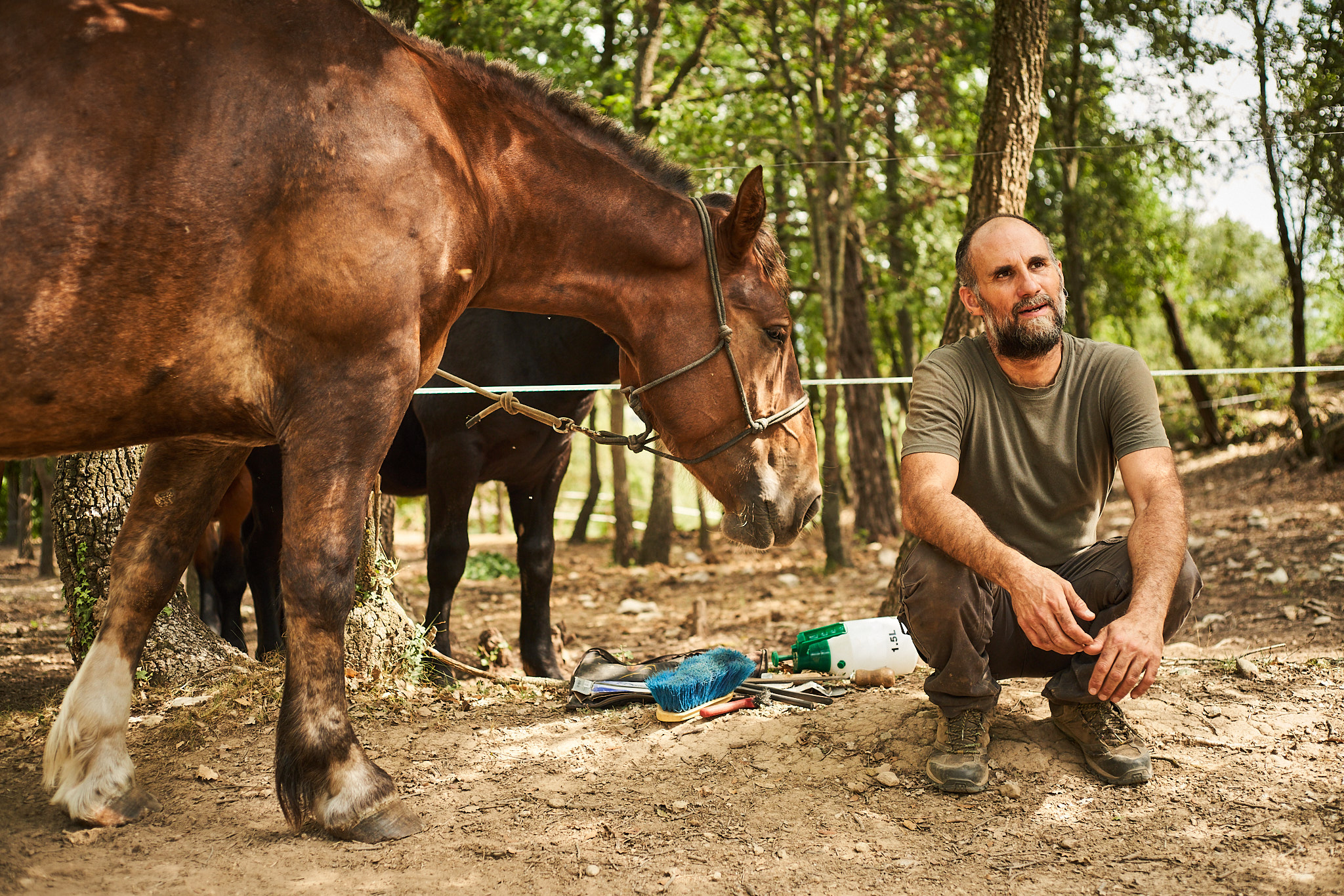 Qui sóm? – Escola de Tracció Animal Moderna